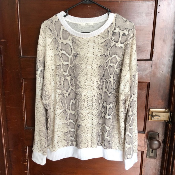 Cherish | Intimates & Sleepwear | Snake Print Suit | Poshmark